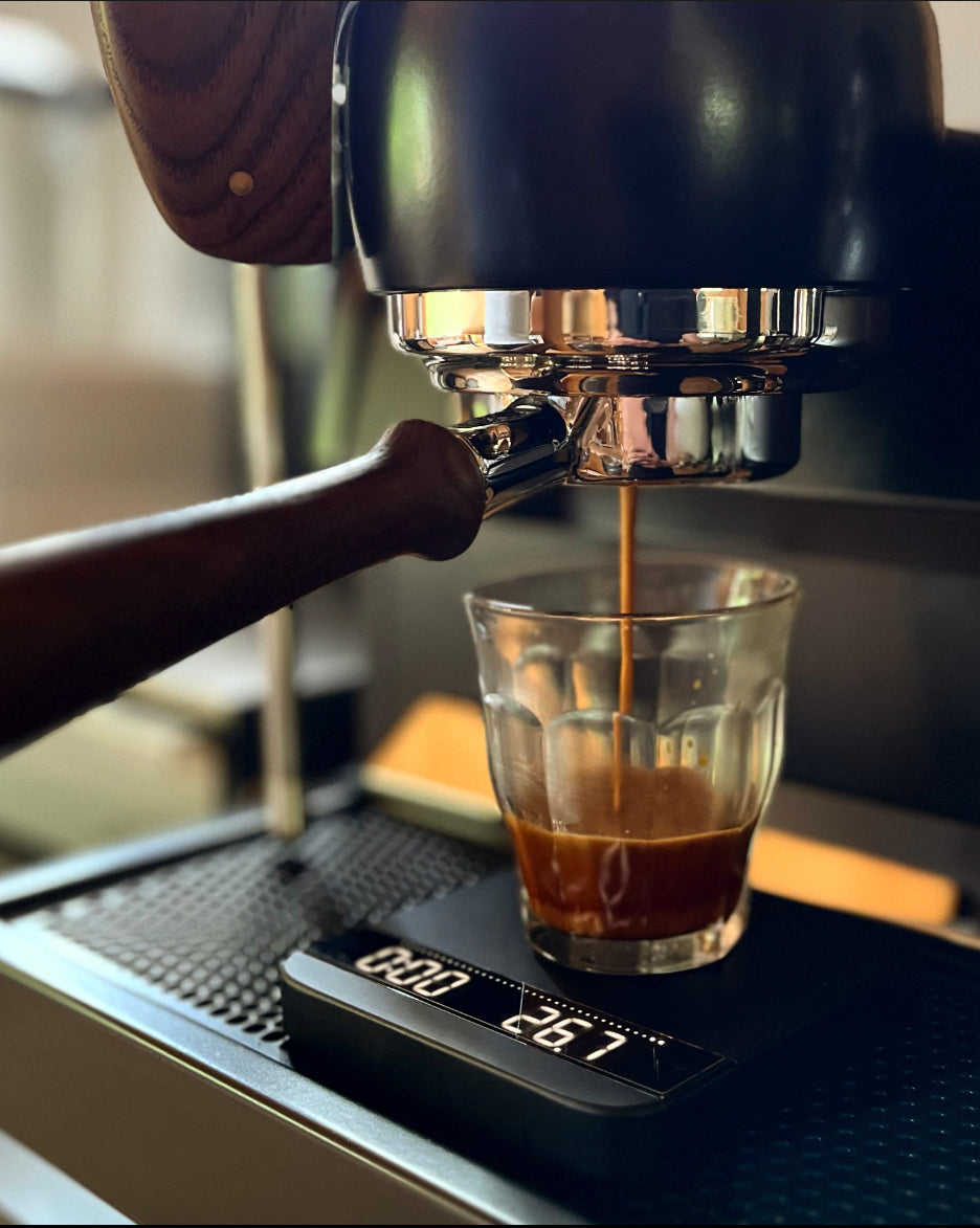 Kaffeelix | World Coffee Roasting Champion Felix Teiretzbacher